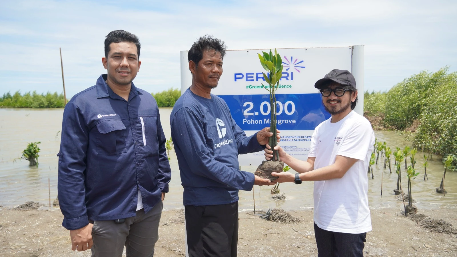 PERURI Tanam 2.000 Pohon Mangrove di Perairan Tanjung Pakis Karawang, Aksi Nyata Menjaga Warisan ...